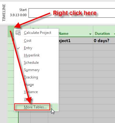 How to replace Generic resources with those with specific skills in MS PROJECT 2013 | Nenad ...