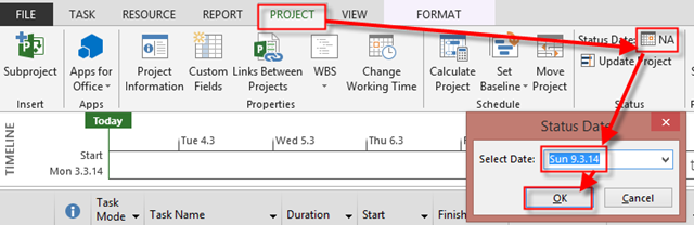 Status field in MS PROJECT 2013 | Nenad Trajkovski