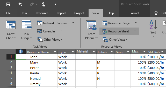 How to Change View in MS PROJECT 2019? | Nenad Trajkovski