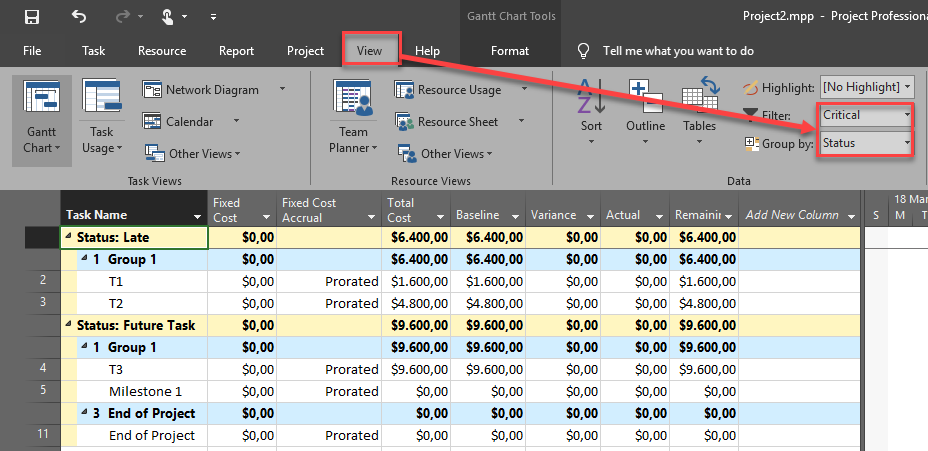 How to Change View in MS PROJECT 2019? | Nenad Trajkovski